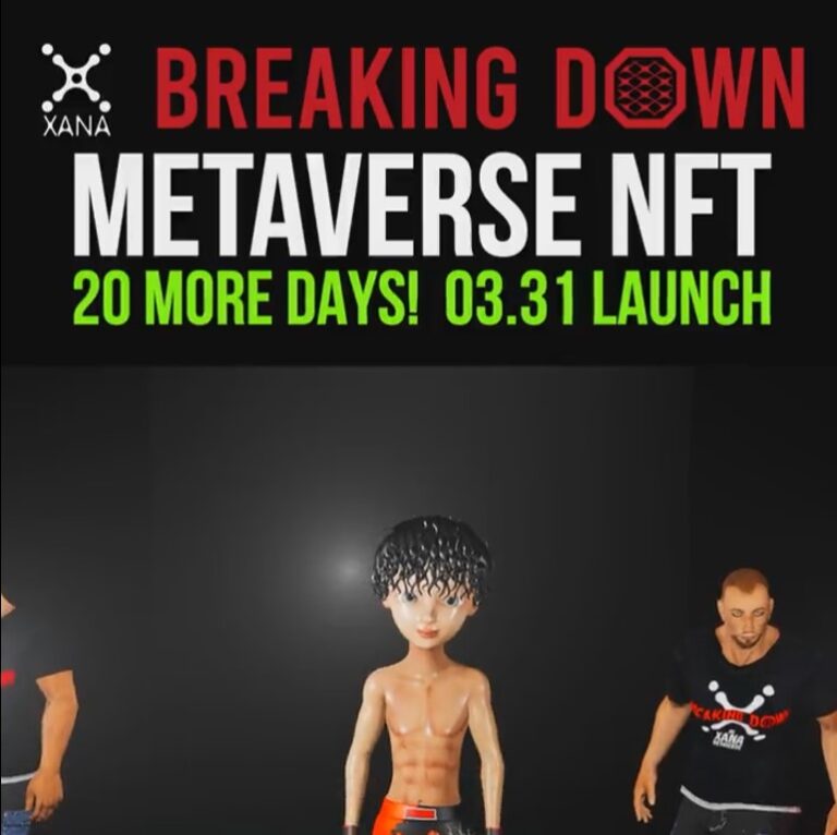 XANA ブレイキングダウンNFTの特徴や買い方まで徹底解説｜XANA×BREAKINGDOWN - くにあつブログ